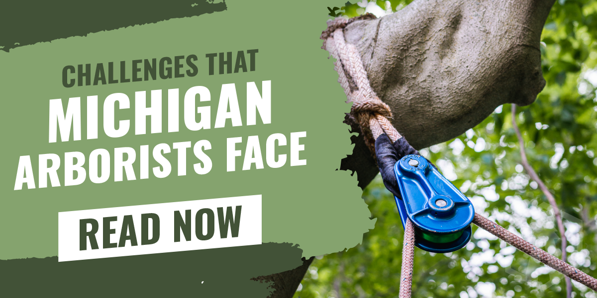 Challenges that Michigan Arborists Face — Bartlett Arborist Supply