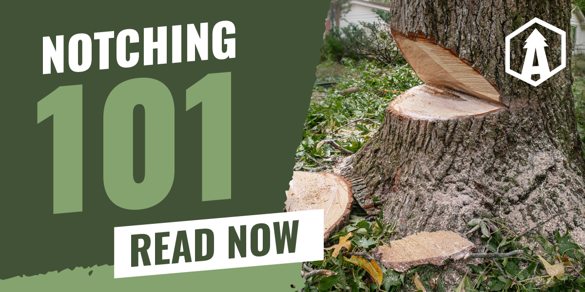 Just Drop it… A Simple Guide to Notches! — Bartlett Arborist Supply