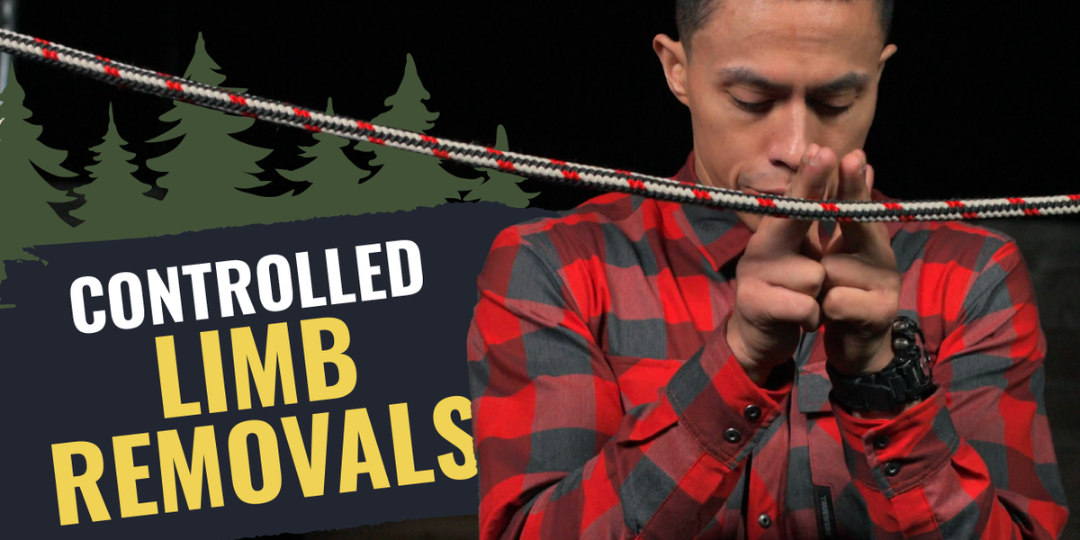 A Guide to Span Rigging — Bartlett Arborist Supply