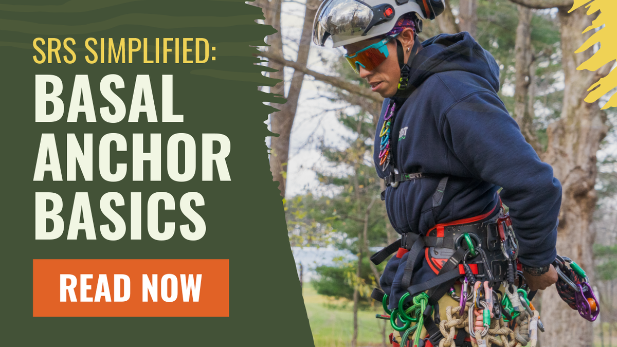Stationary Rope System (SRS): A Basic Understanding of Basal Anchors ...