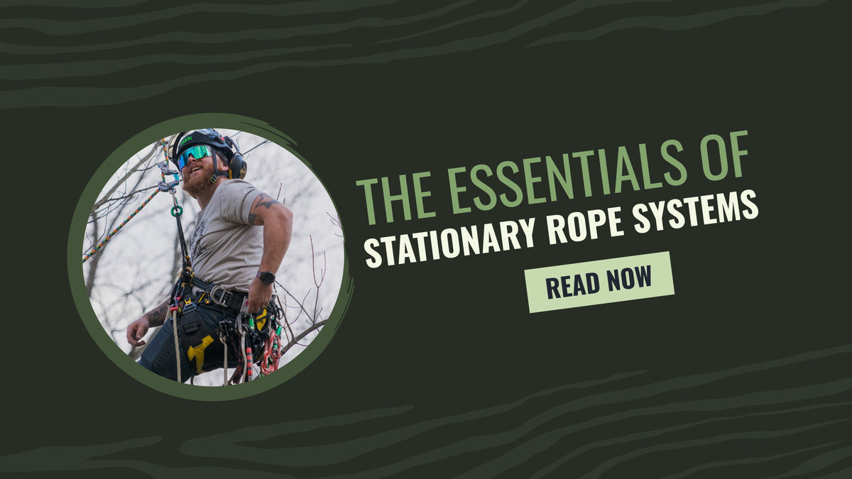 Fundamentals Of Climbing Srs Bartlett Arborist Supply