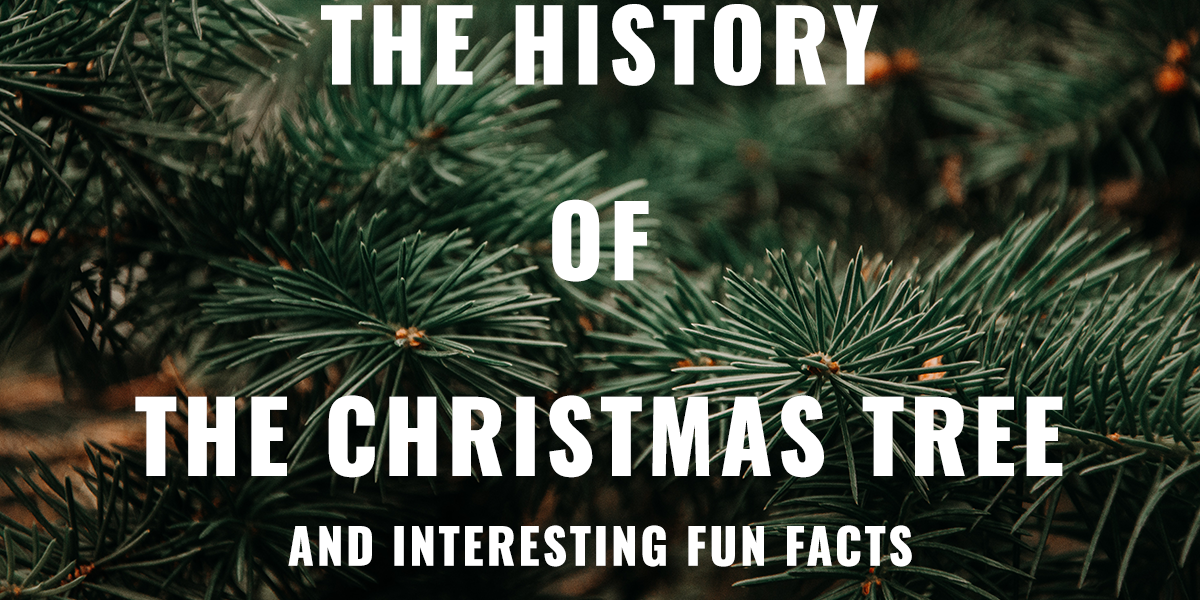 The History of the Christmas Tree — Bartlett Arborist Supply