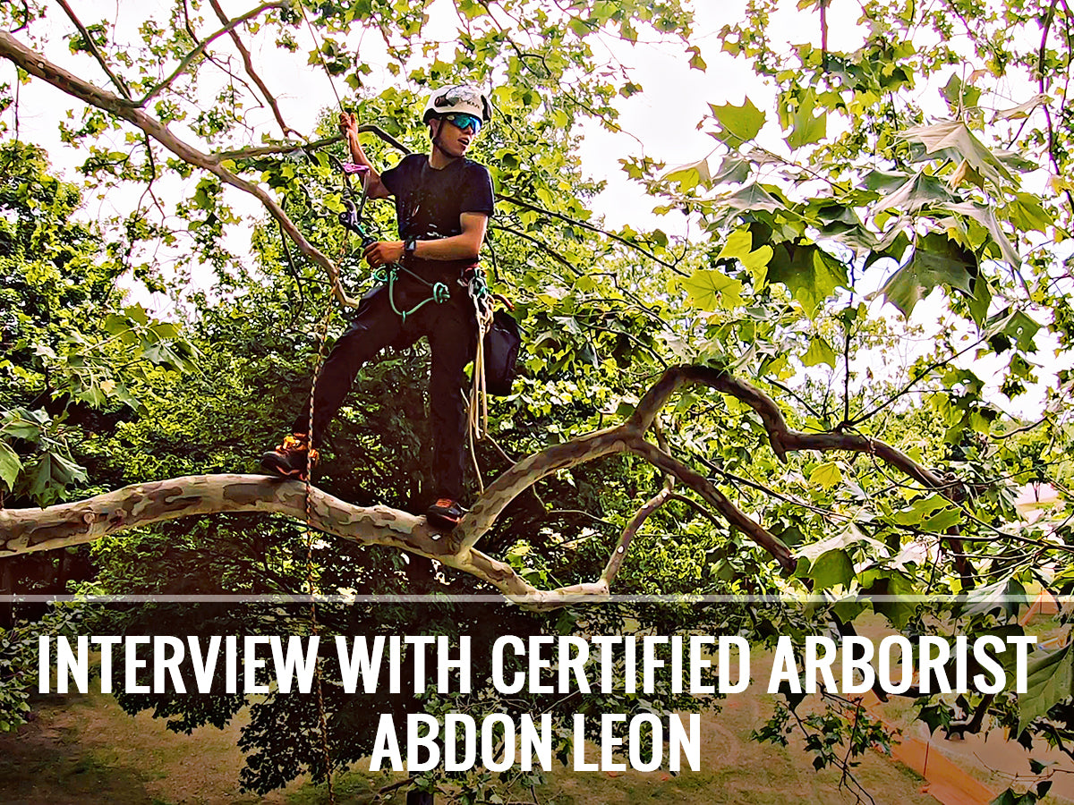 Interview with Certified Arborist Abdon Leon of Team Bartlett ...