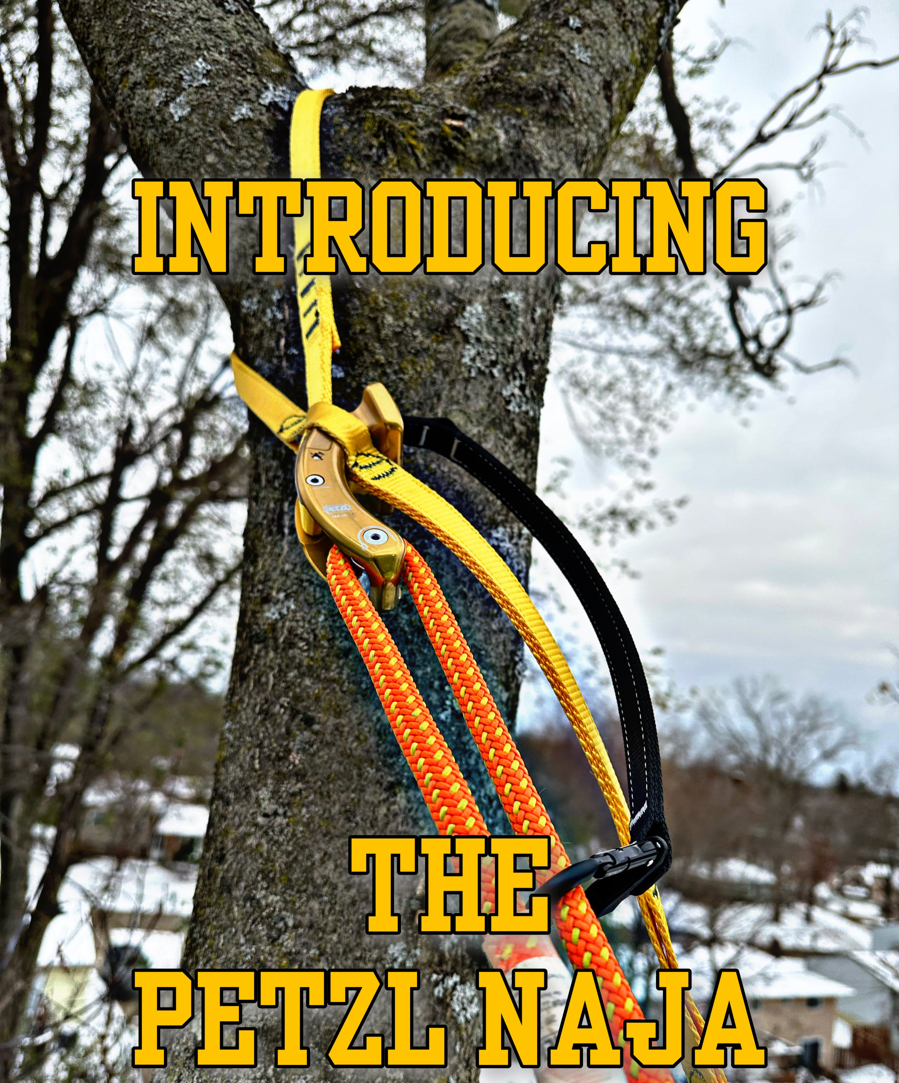 Introducing the Petzl Naja Friction Saver — Bartlett Arborist Supply