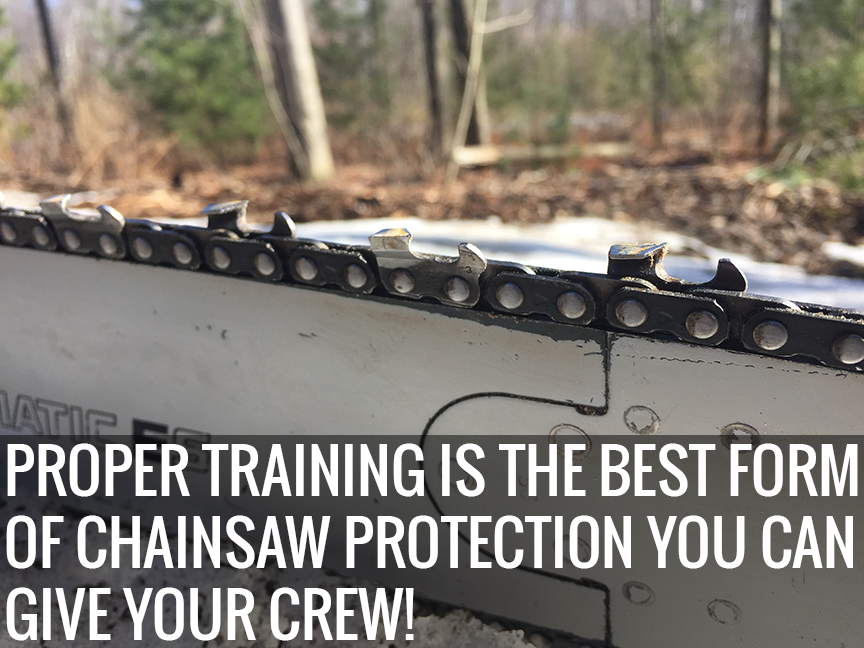 Proper Use of Cutting Tools: Chainsaw Training and Handsaw Safety ...