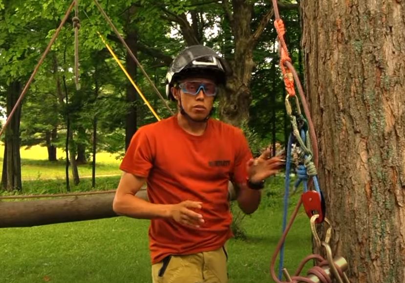 3:1 MA SYSTEM — Bartlett Arborist Supply