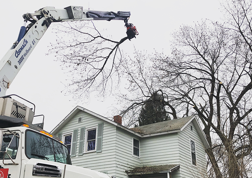 Is Mechanizing the Future of Tree Work? — Bartlett Arborist Supply