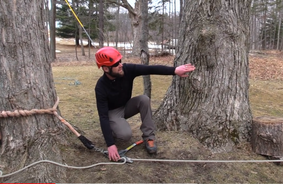 Usando un MAASDAM — Bartlett Arborist Supply