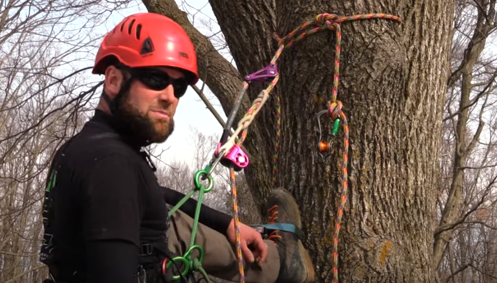 Spar Work Cinching Method — Bartlett Arborist Supply