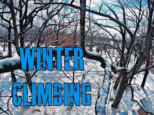 Winter Climbing Tips and Advice — Bartlett Arborist Supply