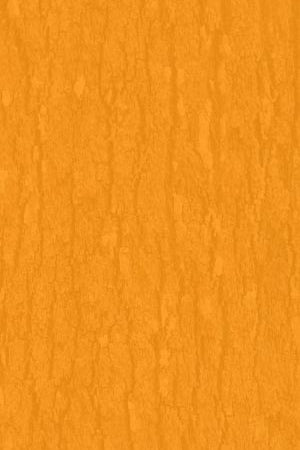 Arborist Supplies | Tree Climbing Gear | Bartlett — Bartlett Arborist ...