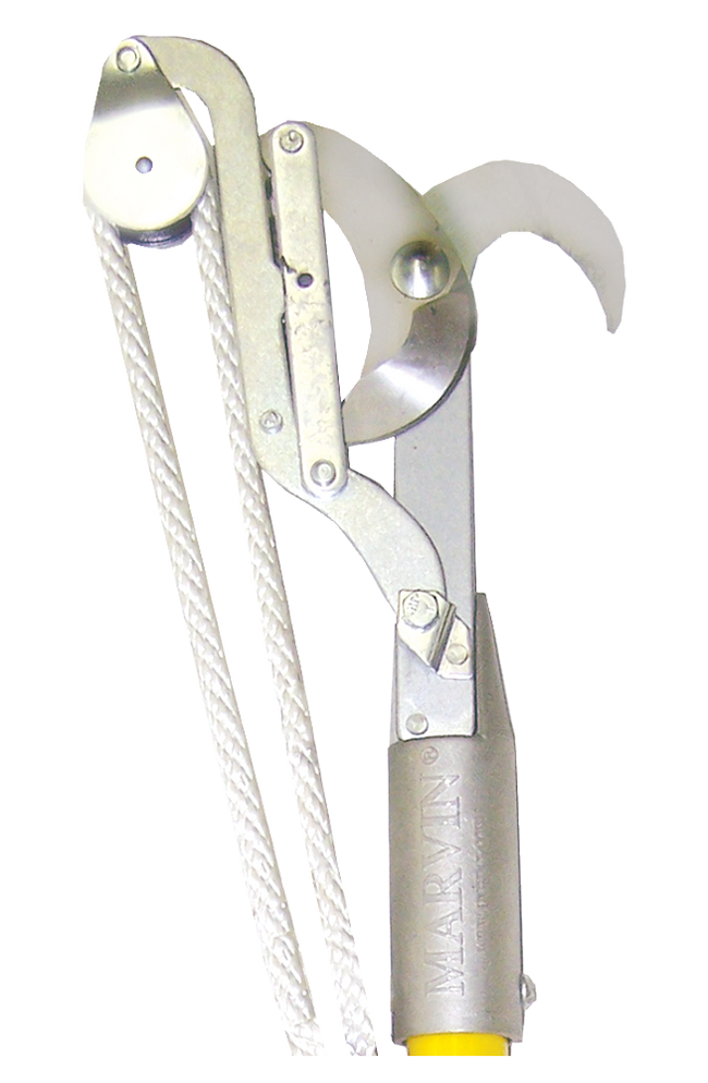 Pole Saws & Pruners for Arborist | Pruner & Pole Saws for Tree Care ...