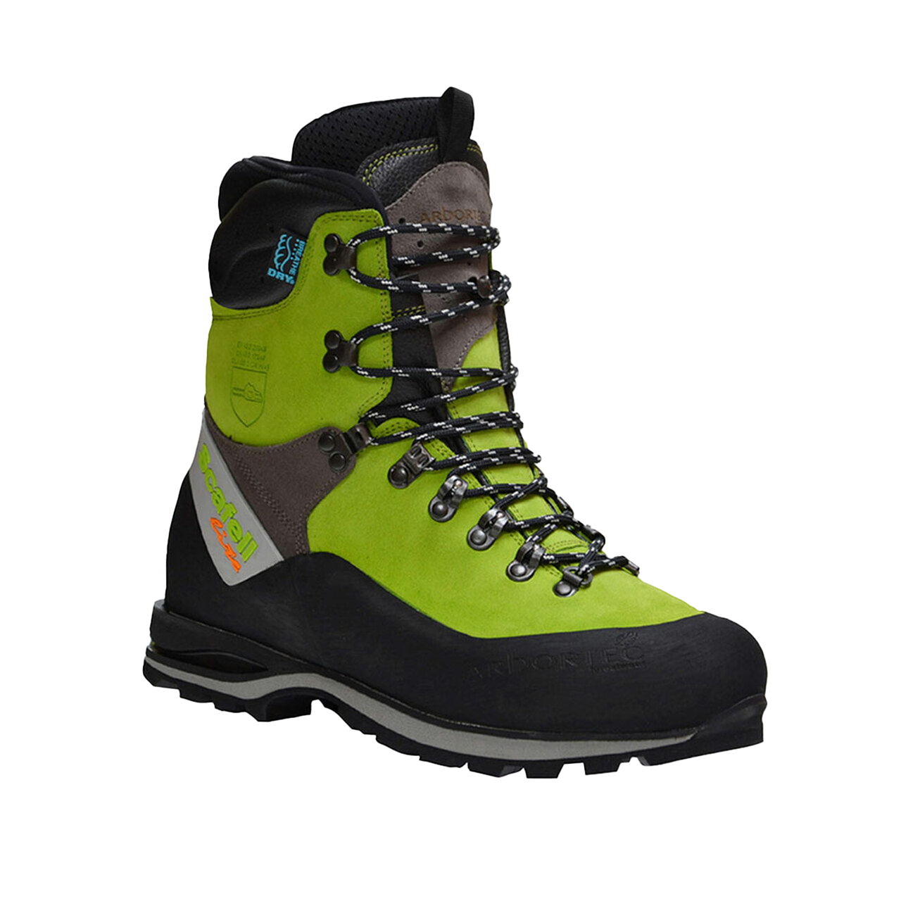 PPE: Personal Protective Equipment for Tree Climbers Safety — Bartlett ...